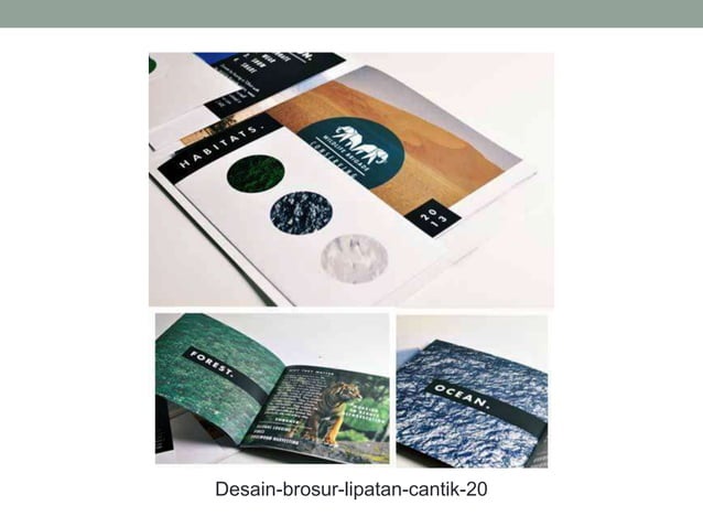 51 contoh brosur dengan desain layout unik dan lipatan cantik unik | PPTX