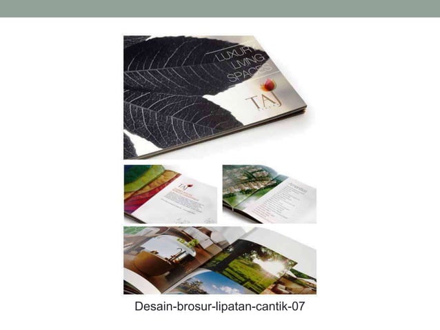 51 contoh brosur dengan desain layout unik dan lipatan cantik unik | PPTX