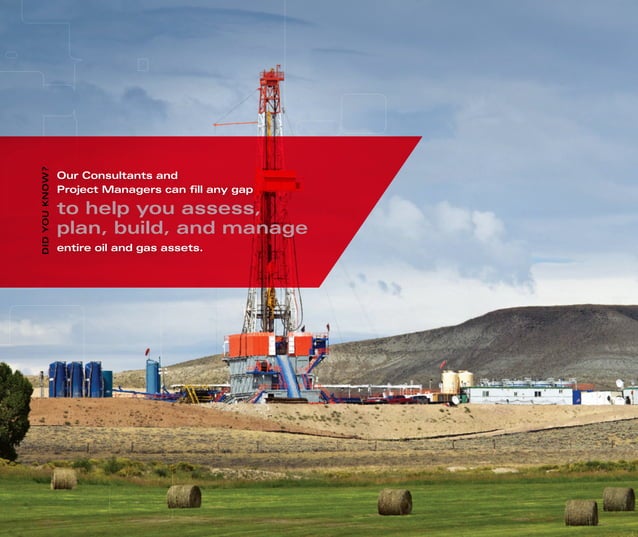 HPM Project Management delivering-value-from-insight-to-execution | PPT