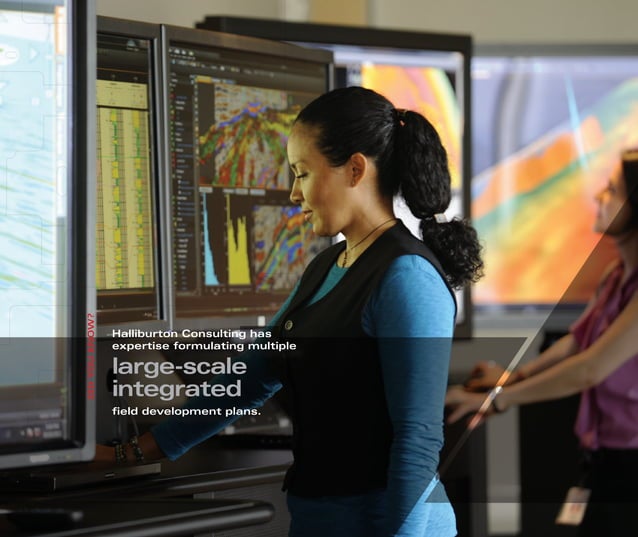 HPM Project Management delivering-value-from-insight-to-execution | PPT