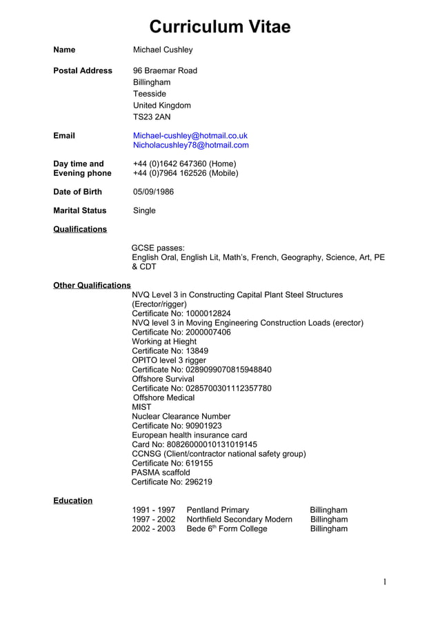 CV Michael Cushley 2015 | DOC