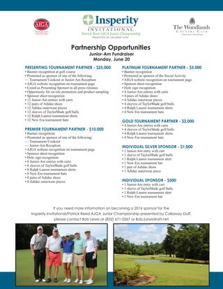 2016 Insperity Partner Flyer final | PDF
