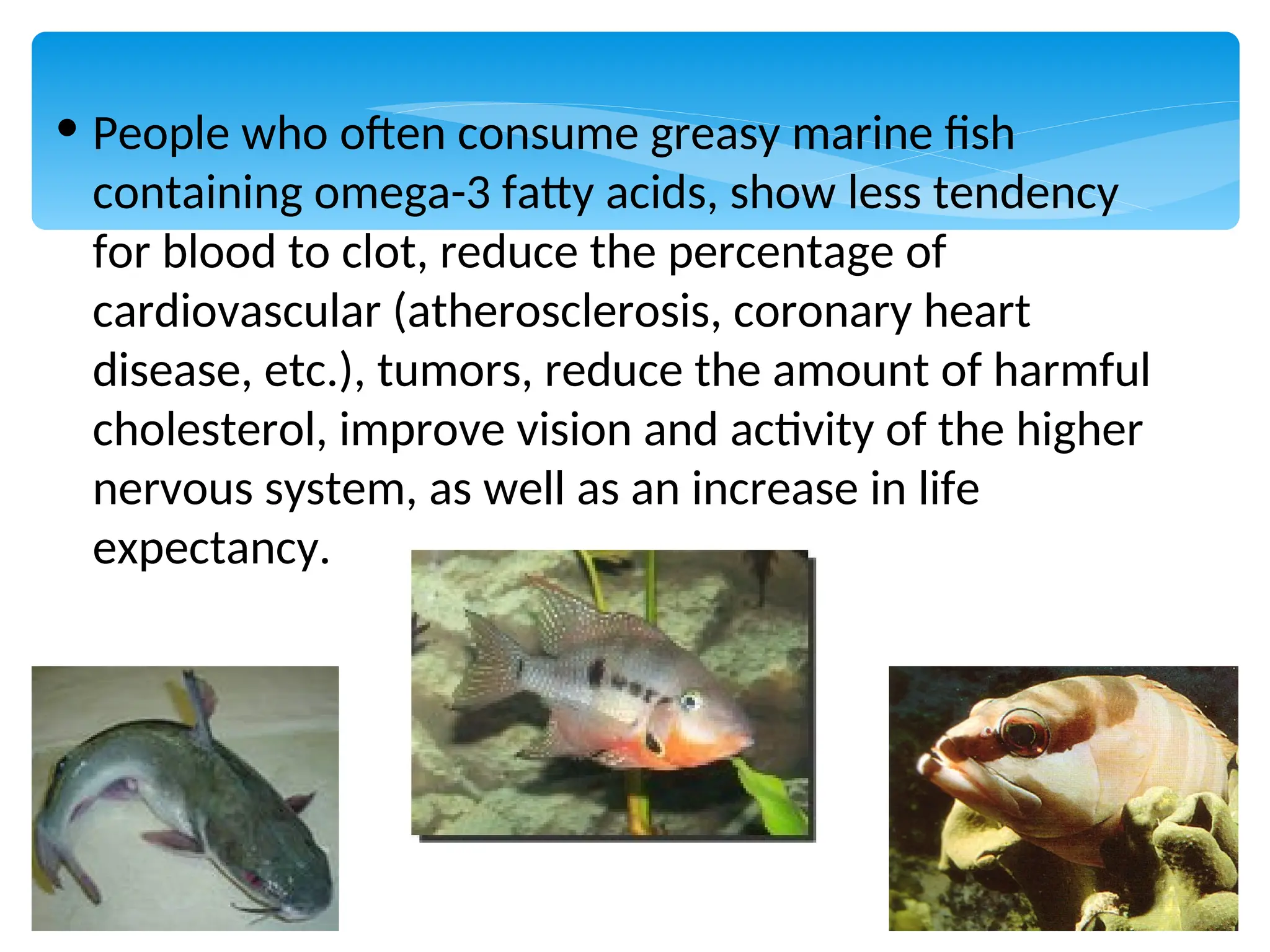 5. Fish.ppt