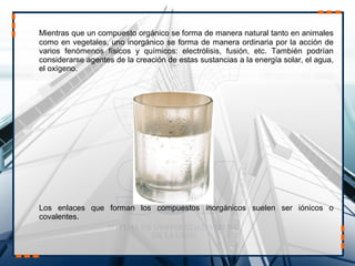 51 inorganicos | PPS