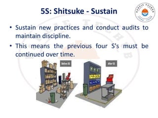 5+1 S Methodology | PPTX