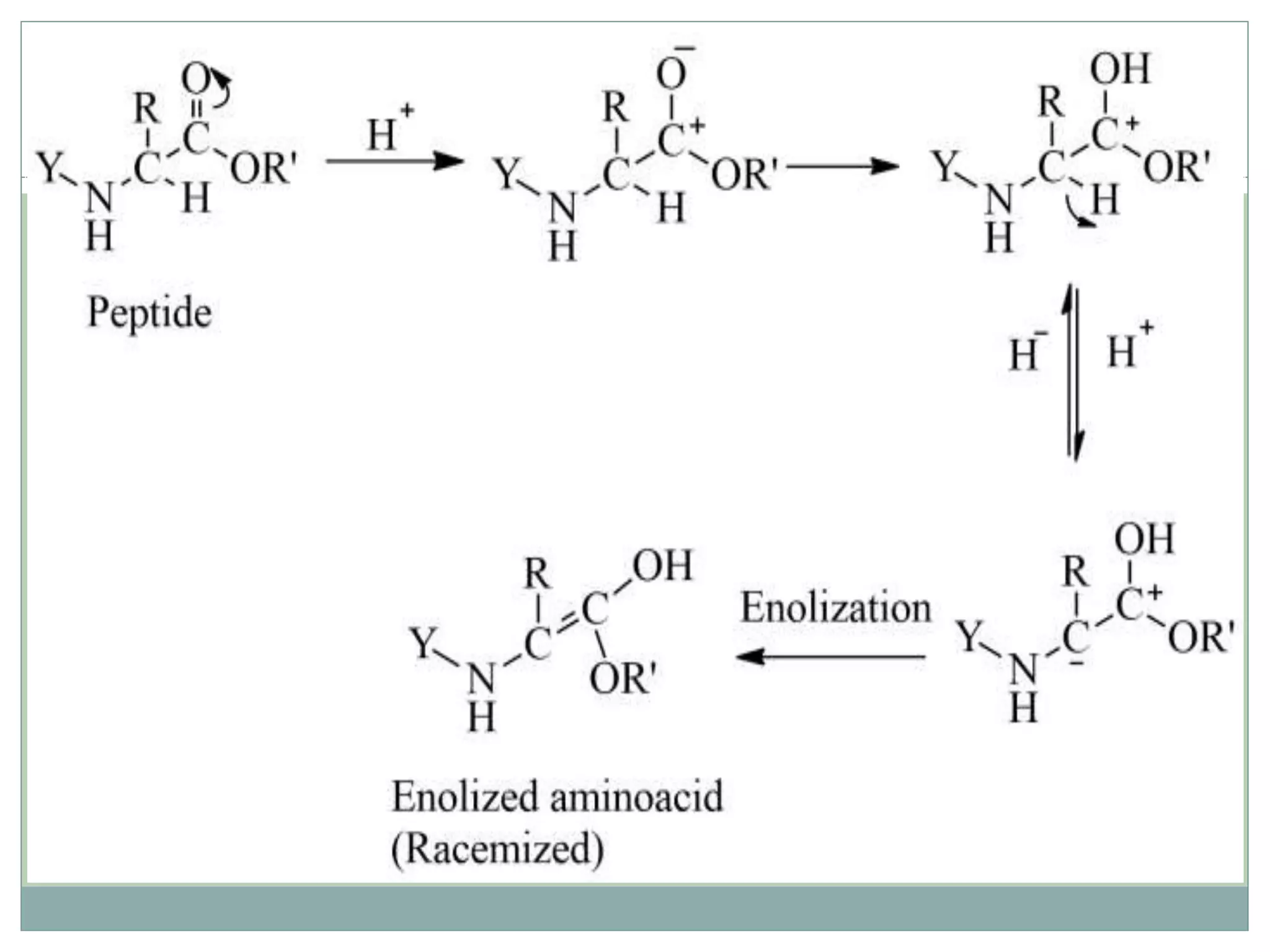 SIDE REACTION IN PEPTIDE SYNTHESIS | PPTX
