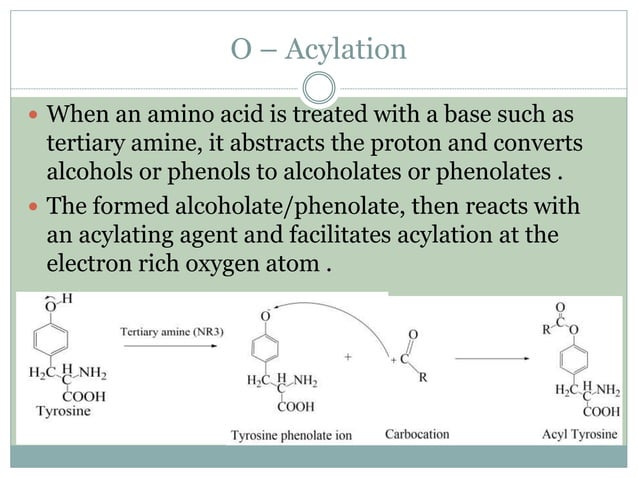 SIDE REACTION IN PEPTIDE SYNTHESIS | PPTX | Chemistry | Science