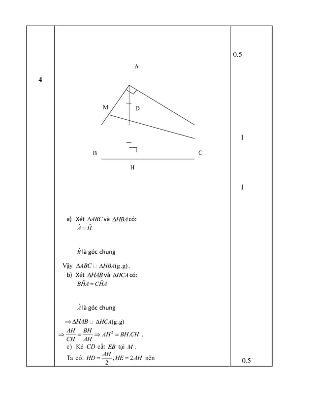 Đề Thi Hk2 Toán 8 - TH - THCS - THPT Nam Việt | PDF