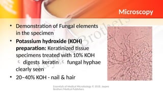 52. Mycology..................................................... | PPTX