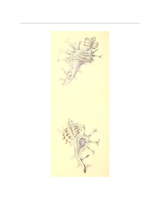 Principles and Applications of Electrical Engineering 7th Edition ...