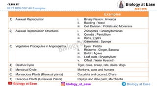 522427381- Neet-Biology-All-Examples.pdf