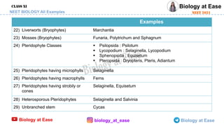 522427381- Neet-Biology-All-Examples.pdf