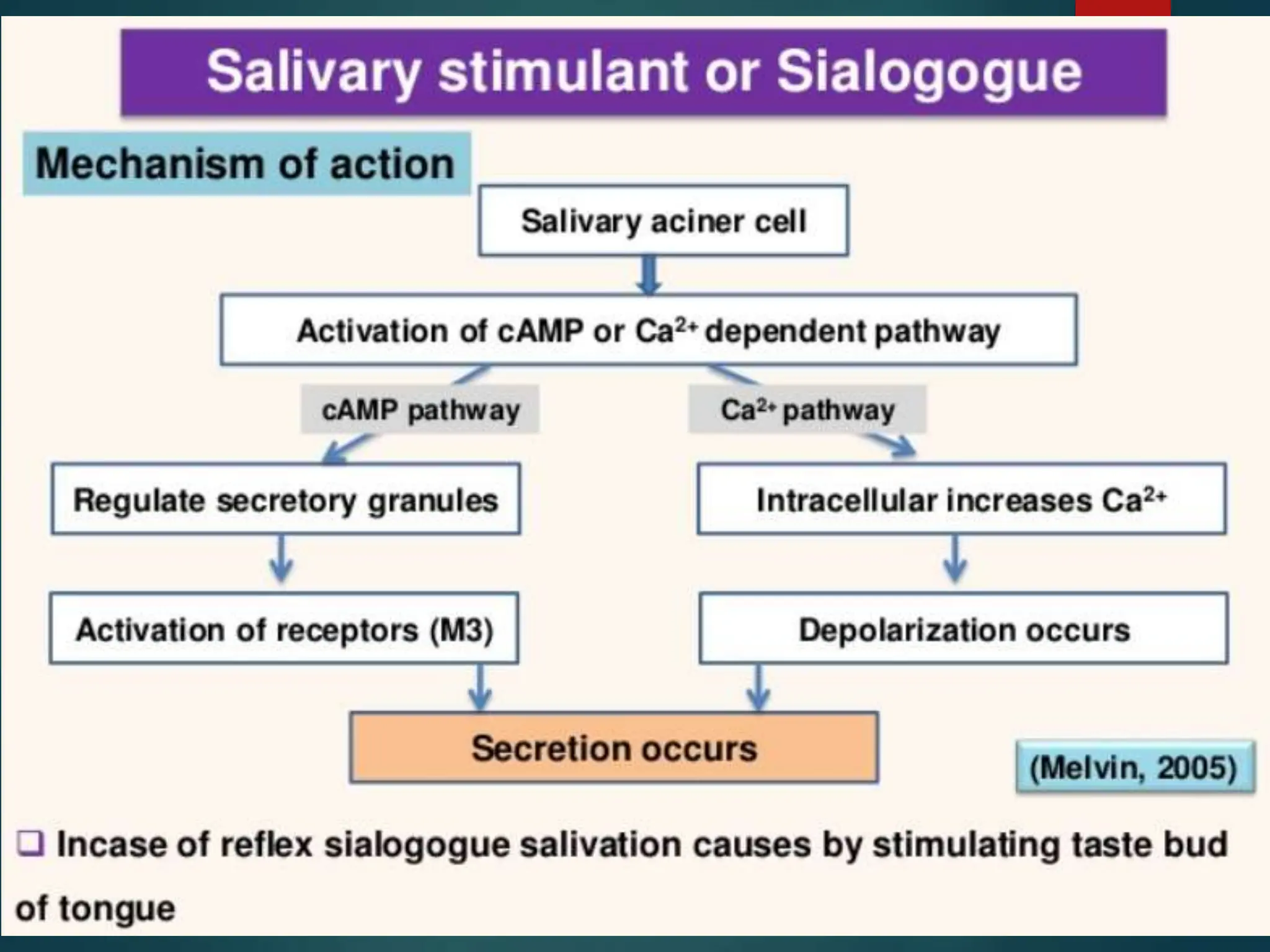 Sialogogues-Anti-sailogogues a detailed presentation | PPTX