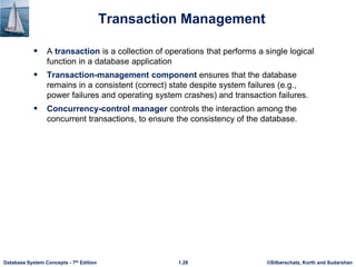 Database Introduction _ Database Management System | PDF