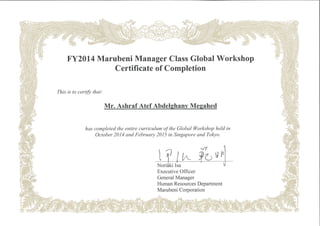Workshop certificate | PDF