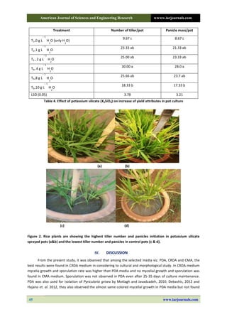 influence of Culture Media on Mycelial Growth and Sporulation of ...