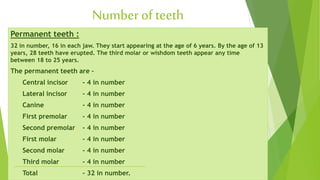 Introduction of tooth. | PPT