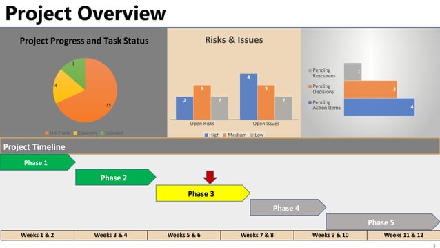 524731396-ERP-Project-Status-Report-template.pdf