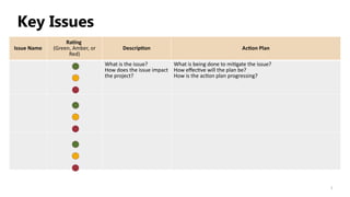 524731396-ERP-Project-Status-Report-template.pdf