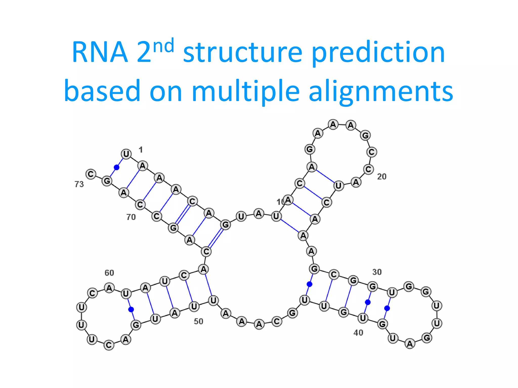AB-RNA-alignments-2010 | PPT