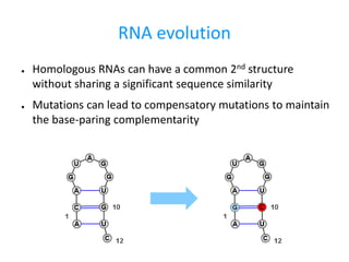 AB-RNA-alignments-2010 | PPT