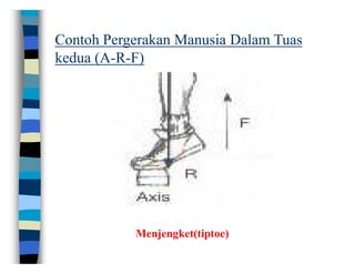 52562623 sistem-tuas | PDF