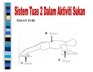 52562623 sistem-tuas | PDF