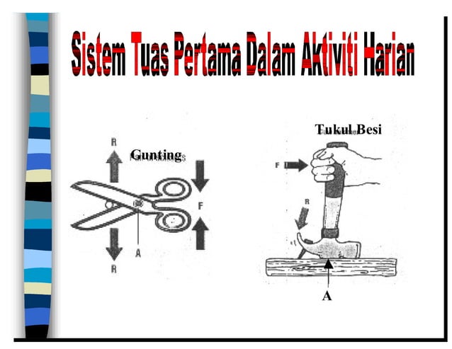 52562623 sistem-tuas | PDF