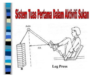 52562623 sistem-tuas | PDF