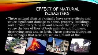 NATURAL DISASTERS and its effects on people and country | PPTX