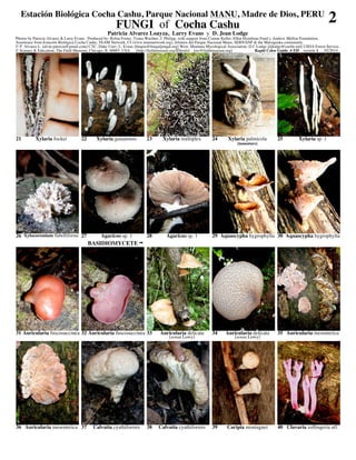 hongos parque nacional del manu cocha cashu | PDF