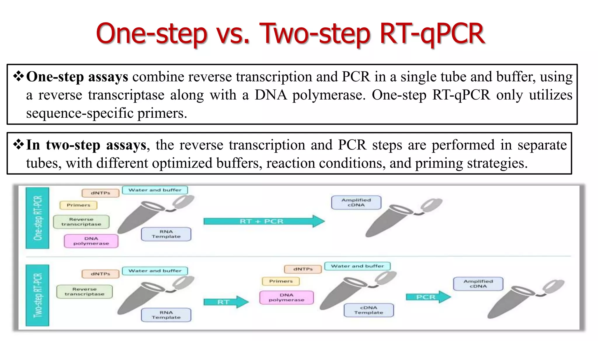 Transcriptomics approaches | PPTX