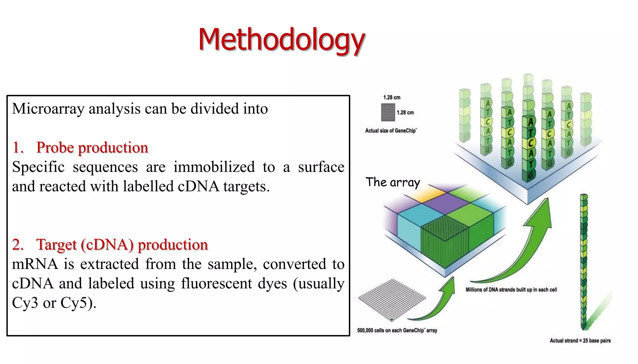 Transcriptomics approaches | PPTX