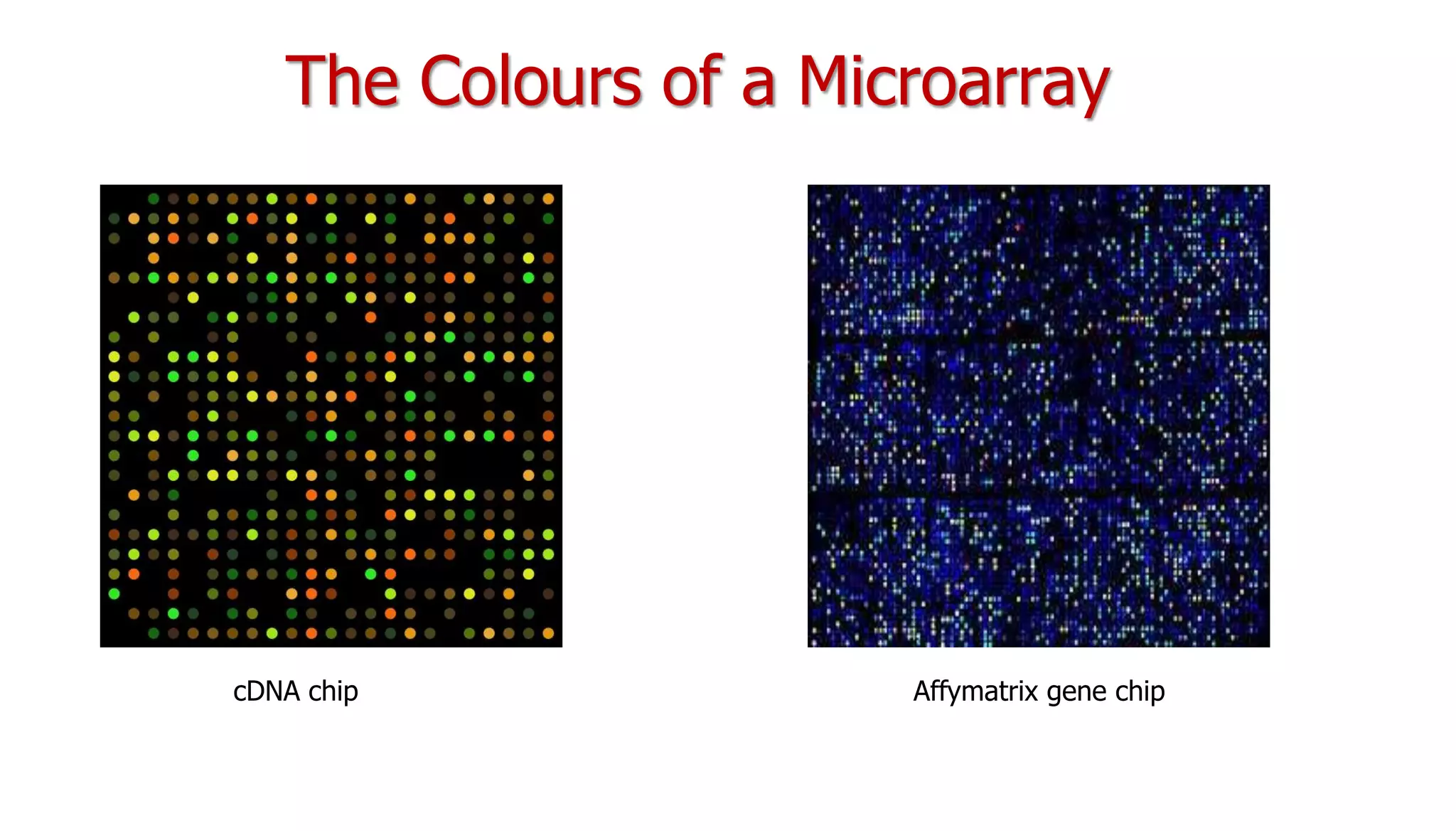 Transcriptomics approaches | PPTX