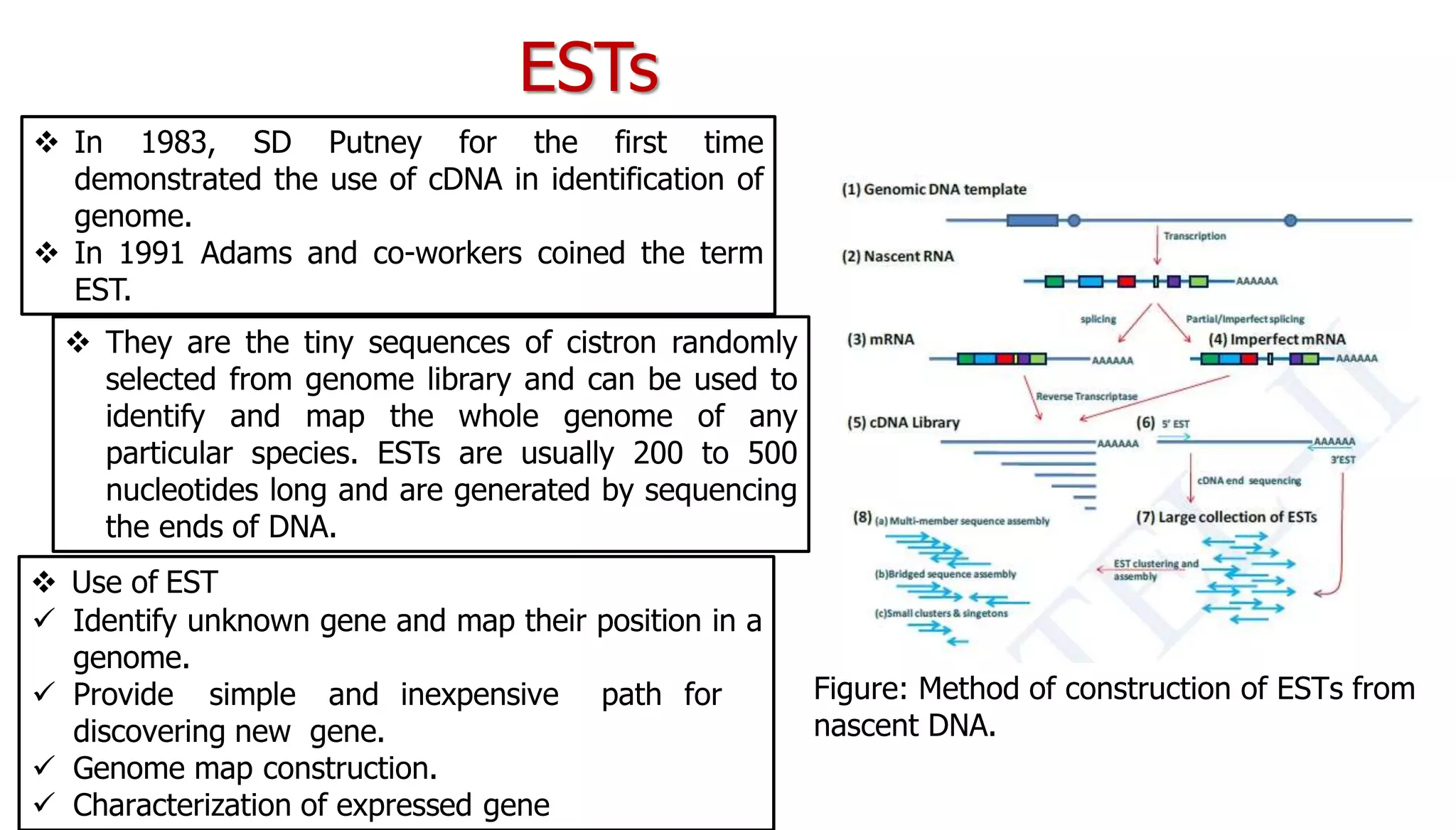 Transcriptomics approaches | PPTX