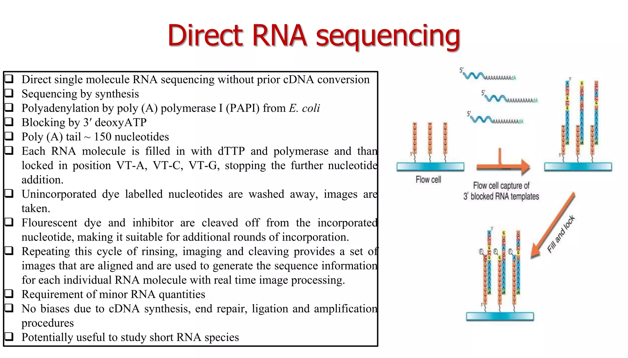 Transcriptomics approaches | PPTX