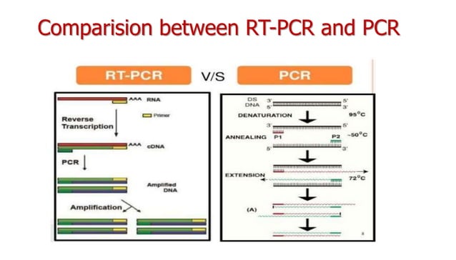 Transcriptomics approaches | PPTX