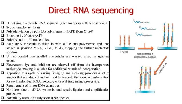 Transcriptomics approaches | PPTX