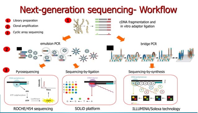 Transcriptomics approaches | PPTX