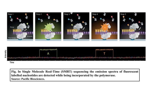 Transcriptomics approaches | PPTX