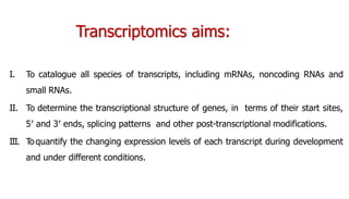 Transcriptomics approaches | PPTX