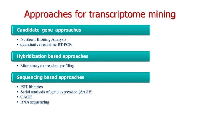 Transcriptomics approaches | PPTX