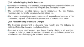 526558289-Business-Studies-Project.pdf gg | PDF