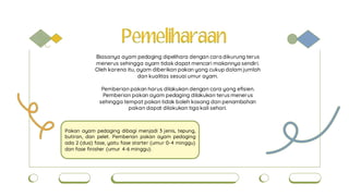 526906vvgv555-Ppt-pkwu-budidaya-uggas.pdf