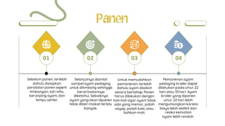 526906vvgv555-Ppt-pkwu-budidaya-uggas.pdf