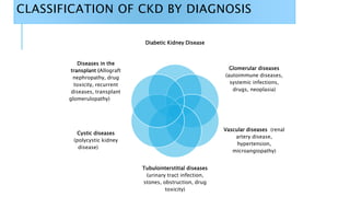 Chronic kidney disease | PPTX | Diseases and Conditions | Medical Health
