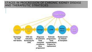 Chronic kidney disease | PPTX | Diseases and Conditions | Medical Health