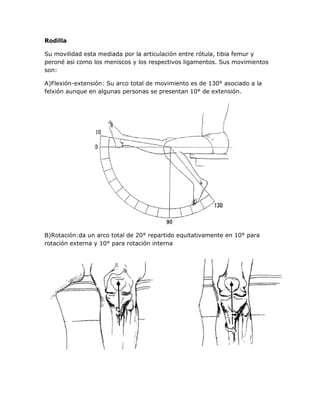 52756563 angulos-y-arcos-de-movimiento | PDF