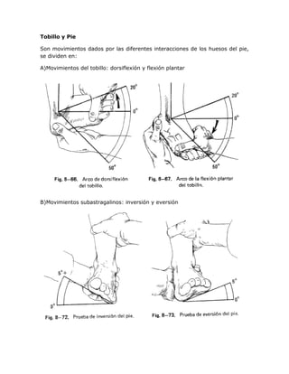 52756563 angulos-y-arcos-de-movimiento | PDF