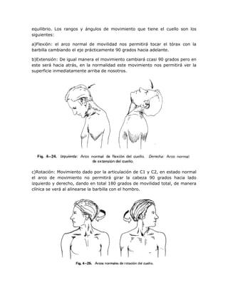 52756563 angulos-y-arcos-de-movimiento | PDF